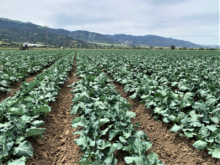 F. SILVA RANCH - Ag Land Trust